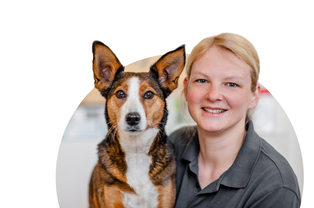 Dr. Tina Ruff Tierarztpraxis In Eitting 85462 – DISKG